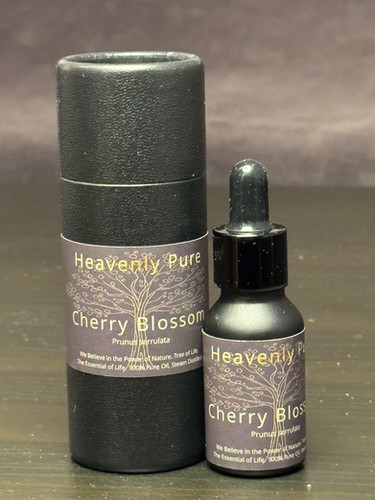 Cherry Blossom Essential Oil Benefits naturally antioxidant for ...