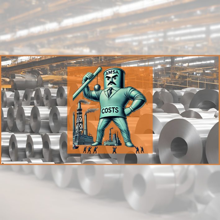 Crisis-hit: AMSA CANNOT be allowed to win at all costs