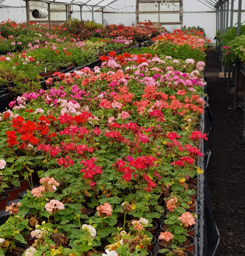 How does one amass a collection?