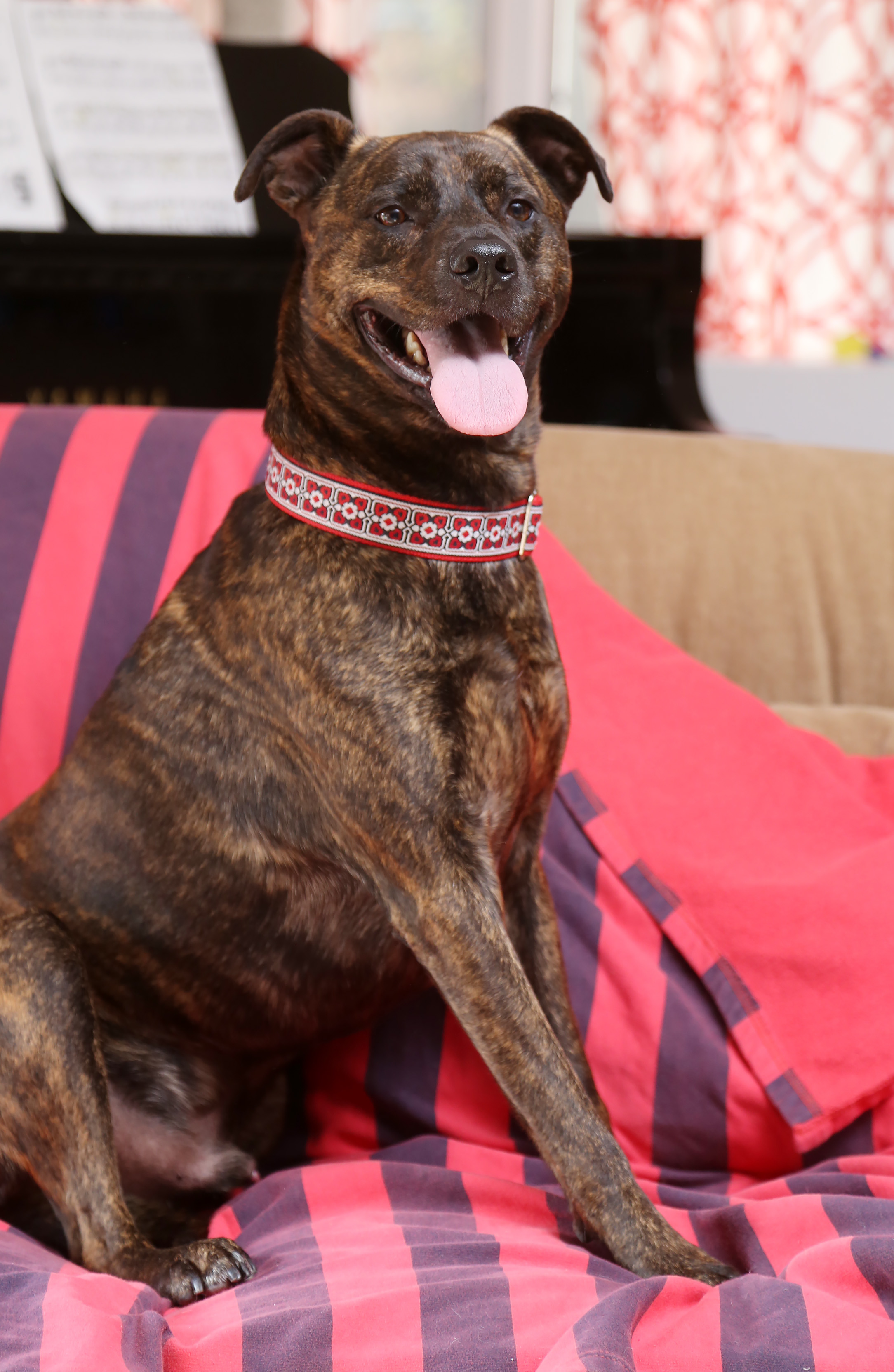 Sioux Empire Pit Rescue - Sioux Falls, SD | Doug