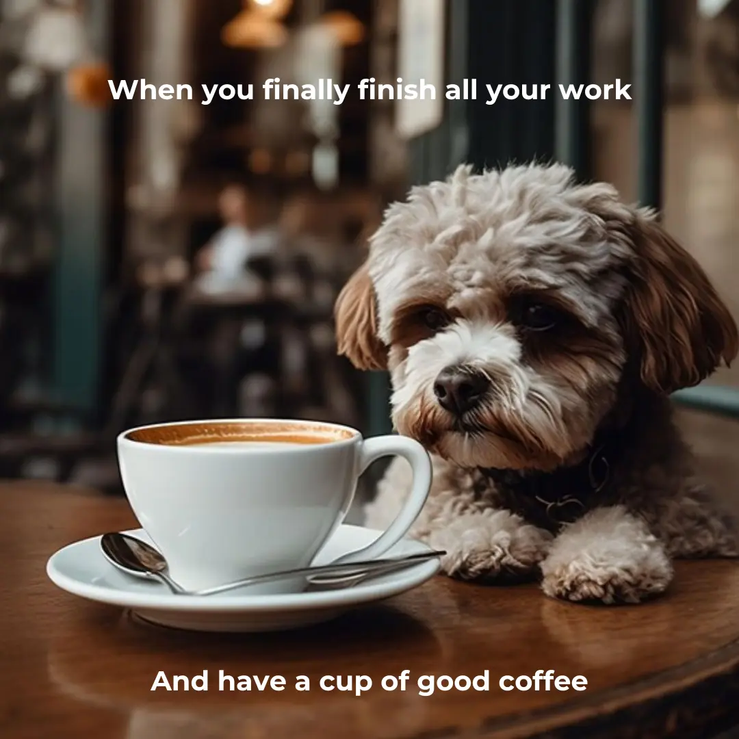 50+ Funny Coffee Memes - Every Caffeine Addict Can Relate To
