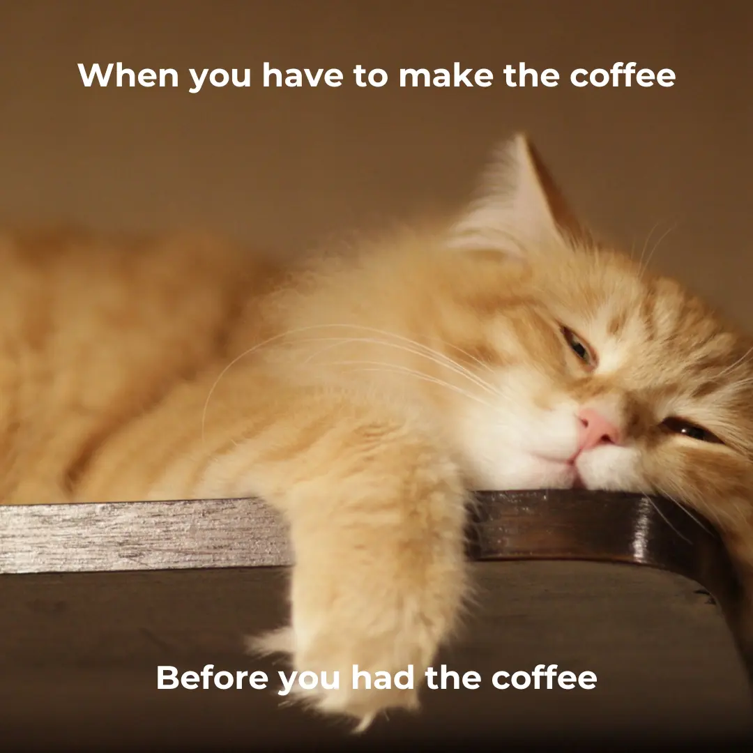 50+ Funny Coffee Memes - Every Caffeine Addict Can Relate To