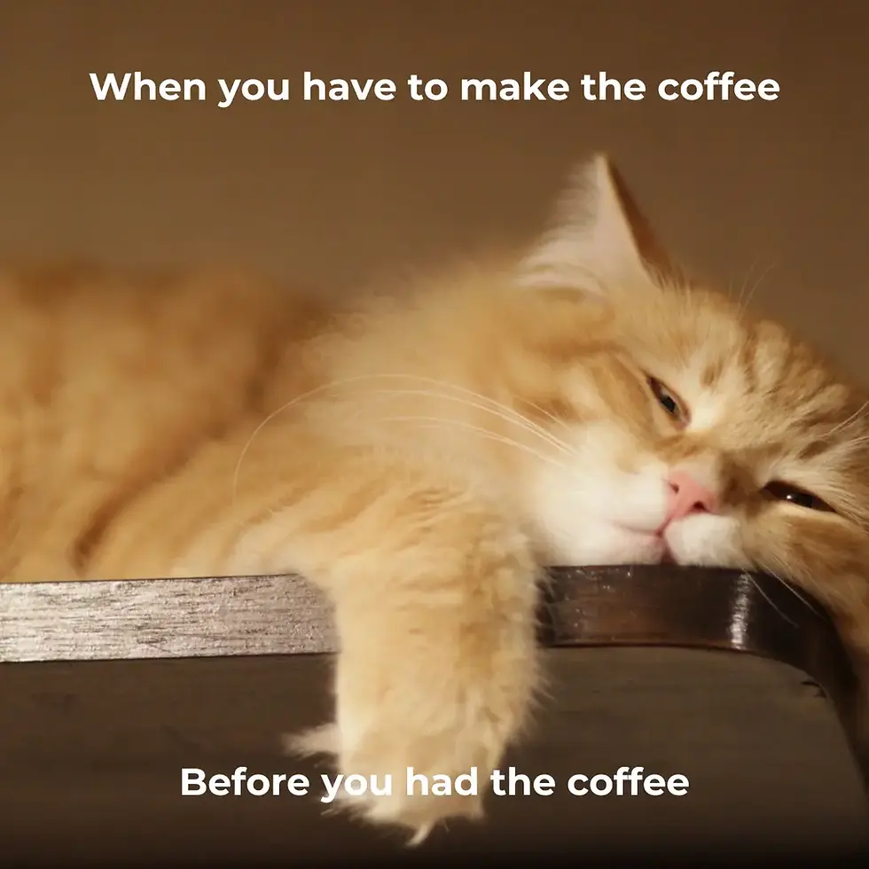 50+ Funny Coffee Memes - Every Caffeine Addict Can Relate To