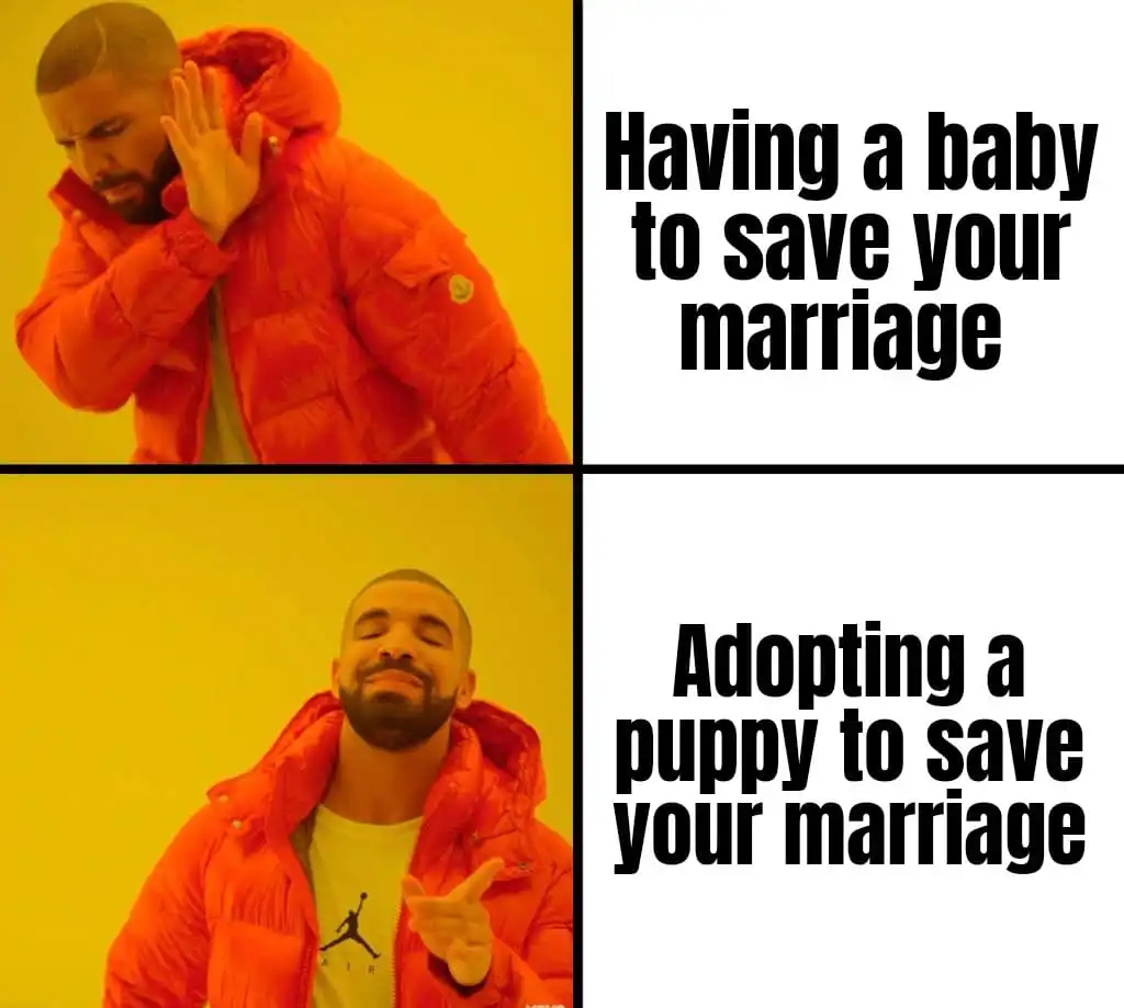 30 Funny Marriage Memes That Define Relationship Humor