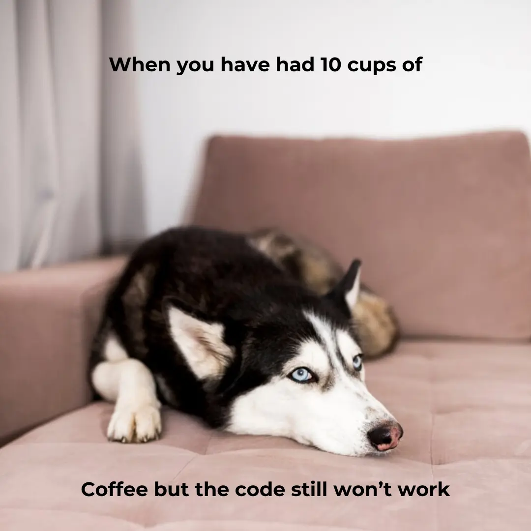 50+ Funny Coffee Memes - Every Caffeine Addict Can Relate To