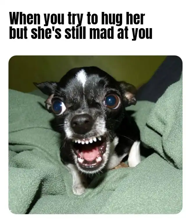 30 Funny Marriage Memes That Define Relationship Humor