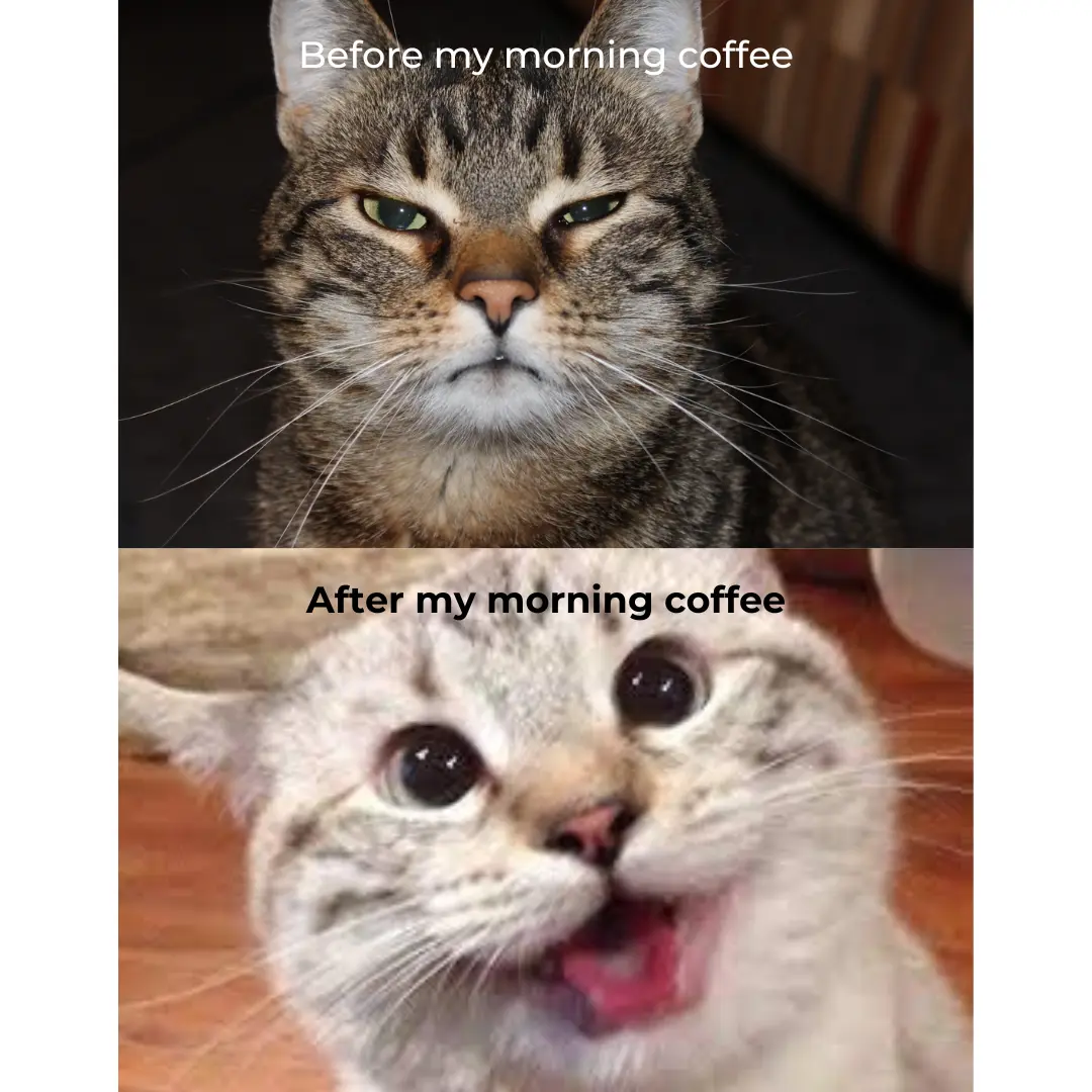 50+ Funny Coffee Memes - Every Caffeine Addict Can Relate To