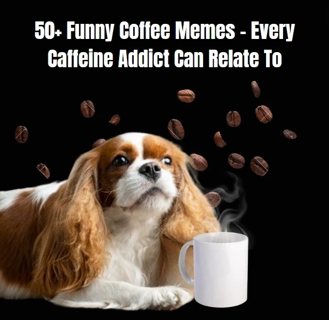 50+ Funny Coffee Memes - Every Caffeine Addict Can Relate To
