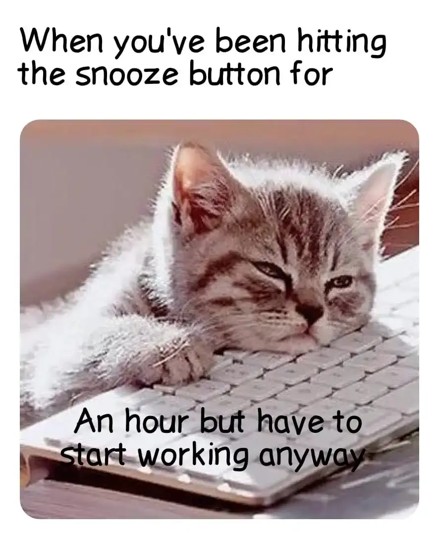 50+ Funny Good Morning Memes to Greet the Day with Laughter