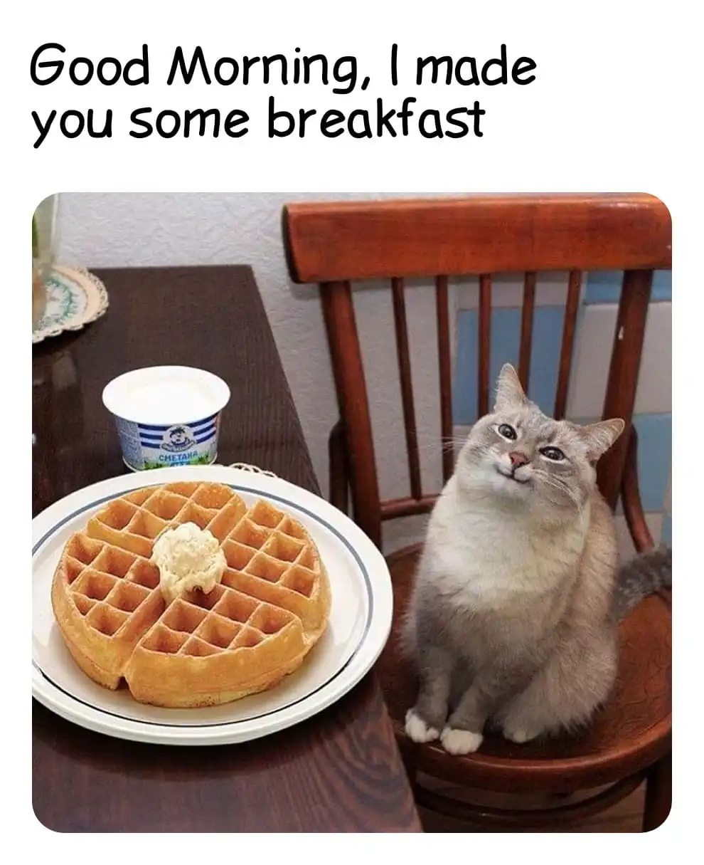 50+ Funny Good Morning Memes to Greet the Day with Laughter