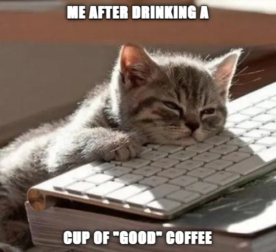 50+ Funny Coffee Memes - Every Caffeine Addict Can Relate To
