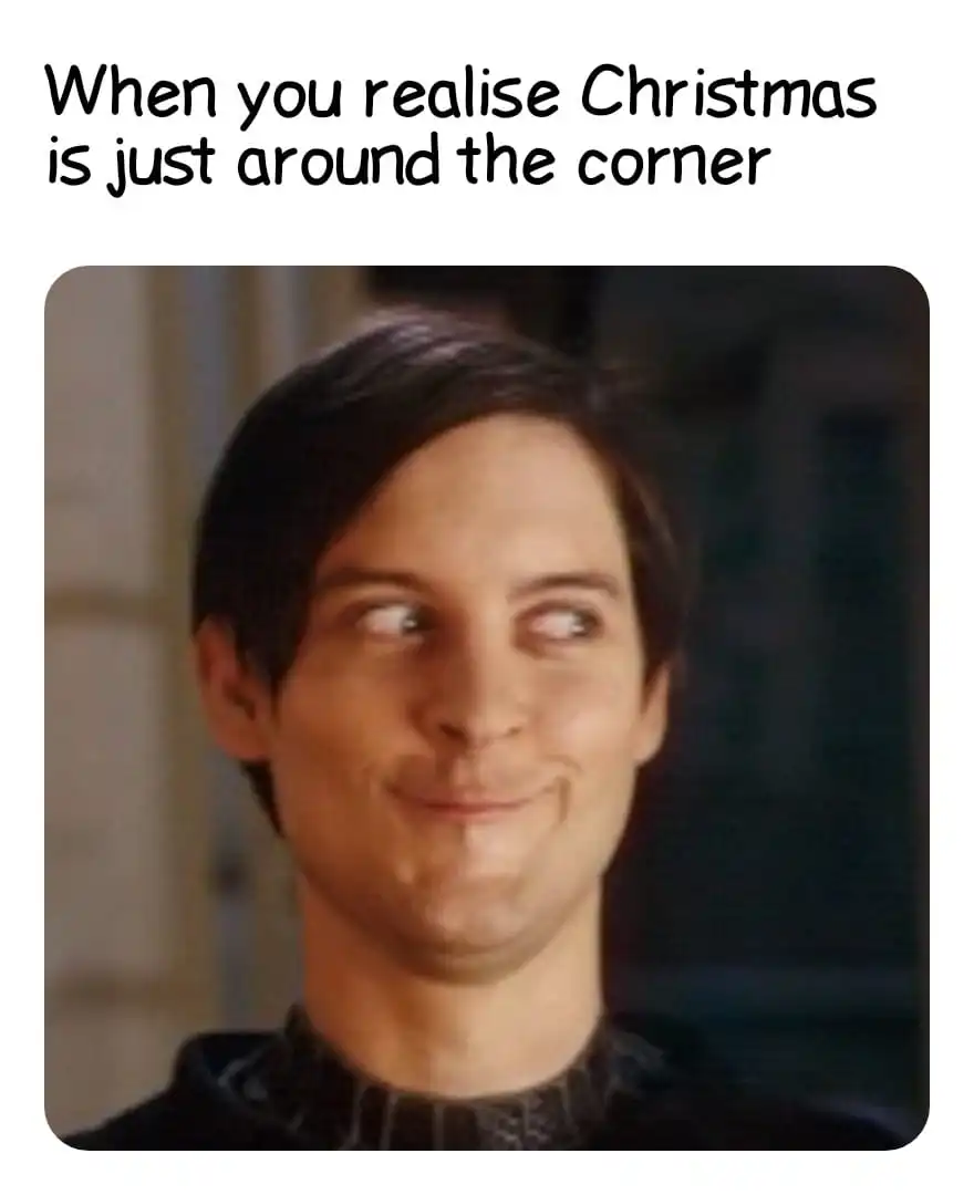 45 Funny Christmas Memes To Bring Joy to Your Celebrations!