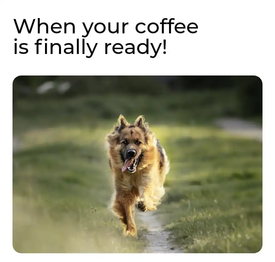 50+ Funny Coffee Memes - Every Caffeine Addict Can Relate To