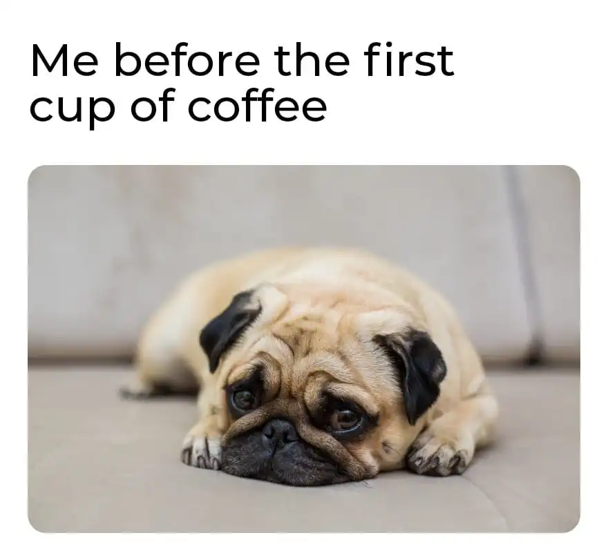 50+ Funny Coffee Memes - Every Caffeine Addict Can Relate To