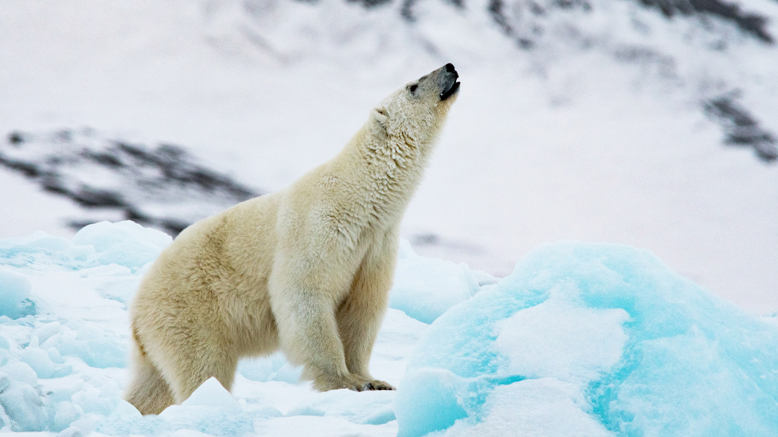 In Search of the Northernmost Point of Earth | Ariodante Travel