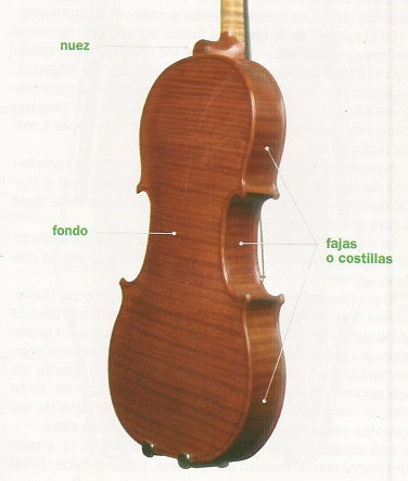 El Violín y sus partes.