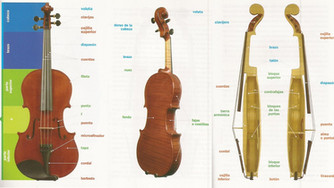 Clases de Violín