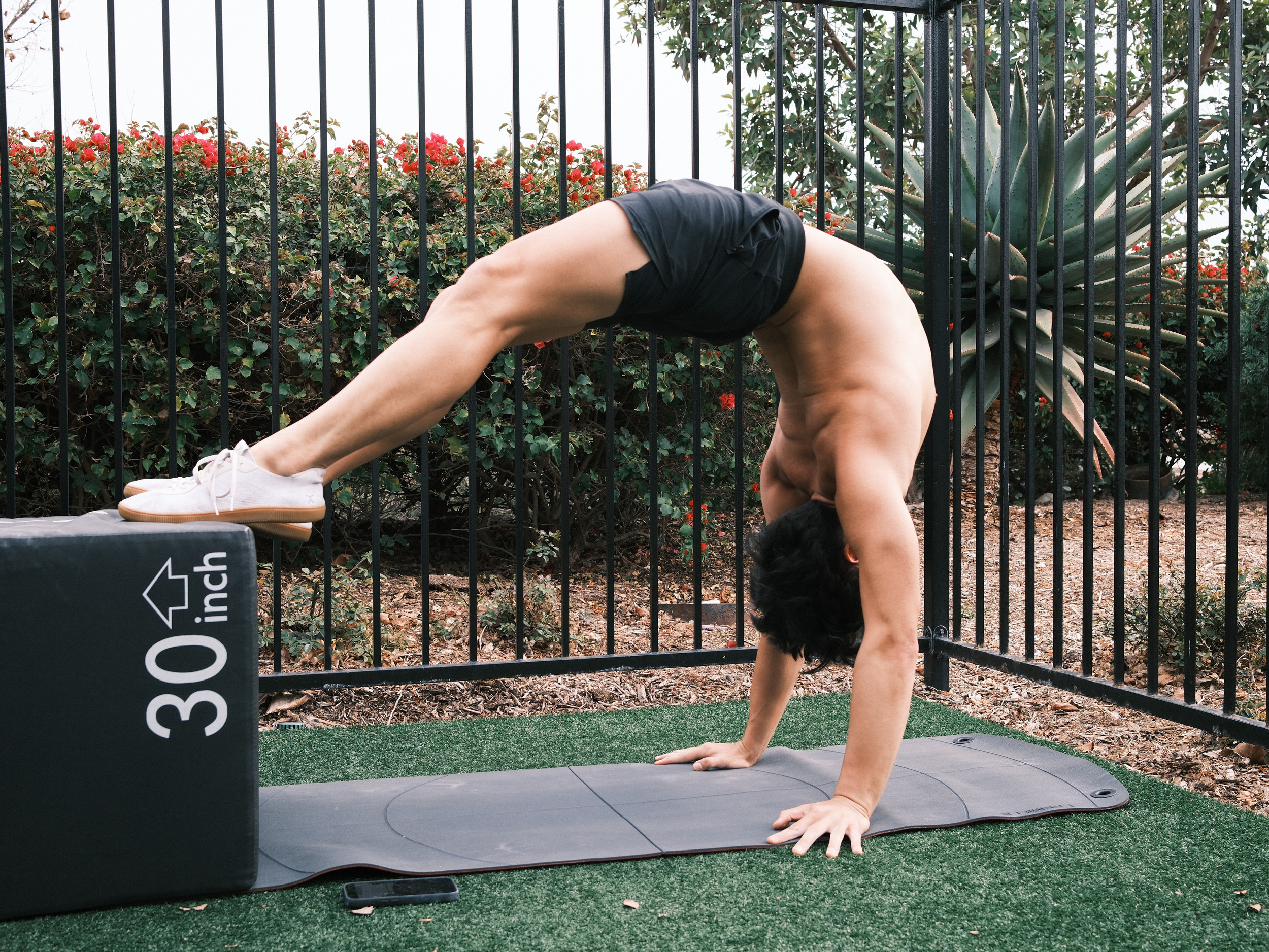 Elliot Kim | personalized mobility and strength coaching