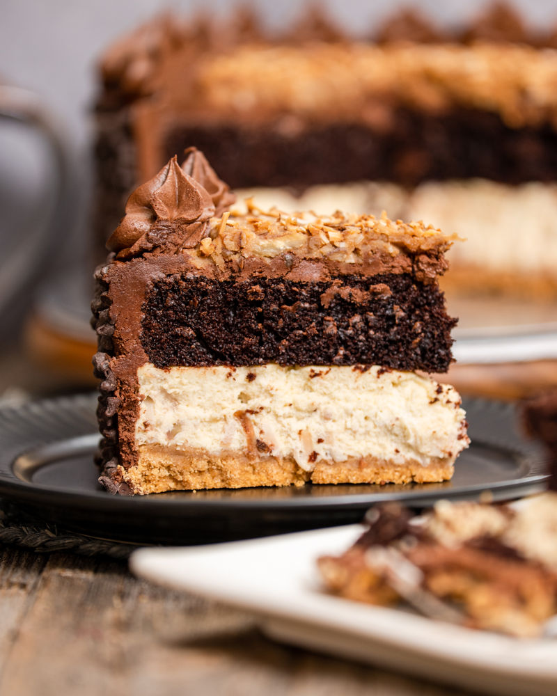 Chocolate Coconut Cheesecake