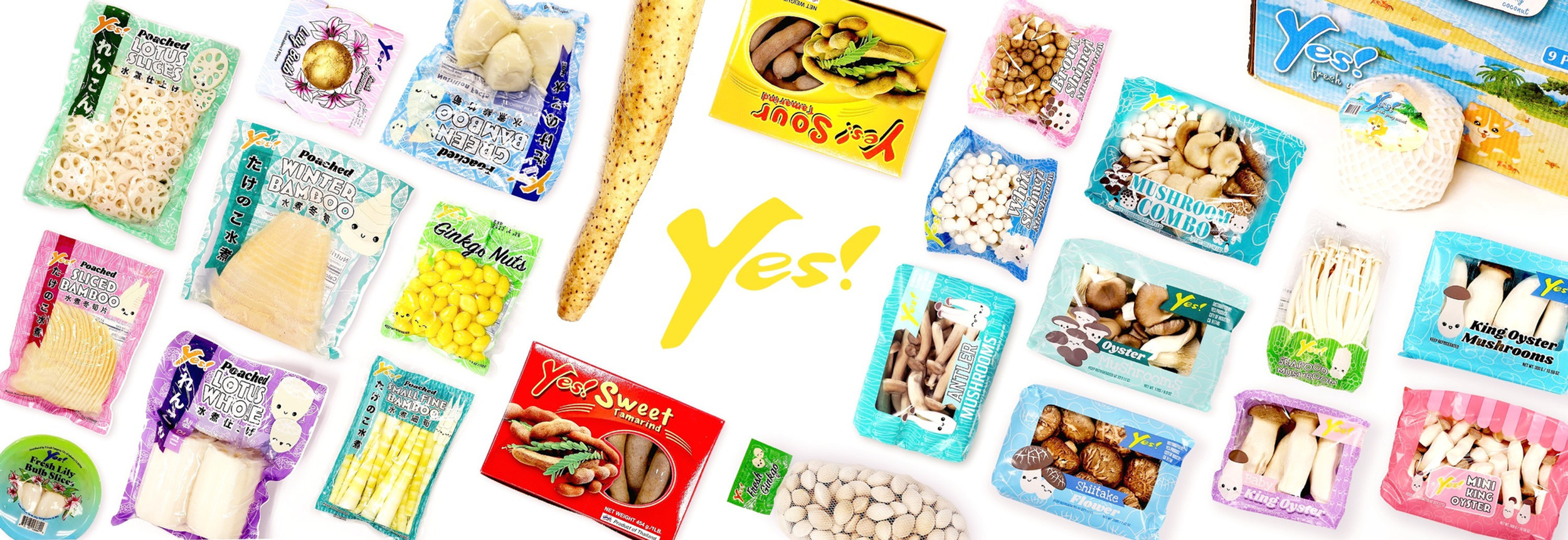 ABOUT | YES PRODUCE
