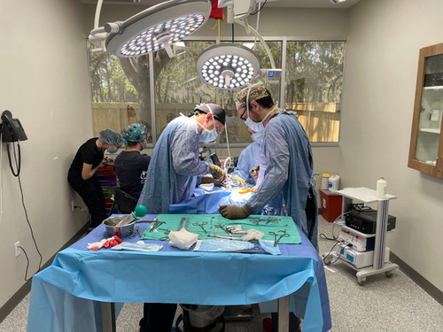 VSS Medical Double-head Surgery Light | VSS Medical