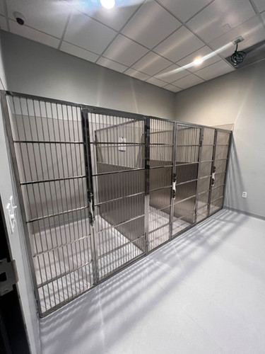 Veterinary Stainless Steel Run Large Kennel | VSS Medical