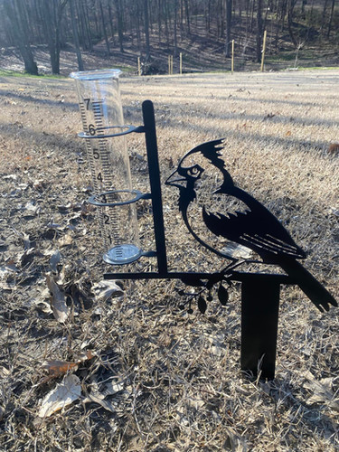 Cardinal Rain Gauge | Simply Steel Metal D