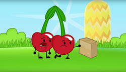 CHERRIES | Inanimate Insanity