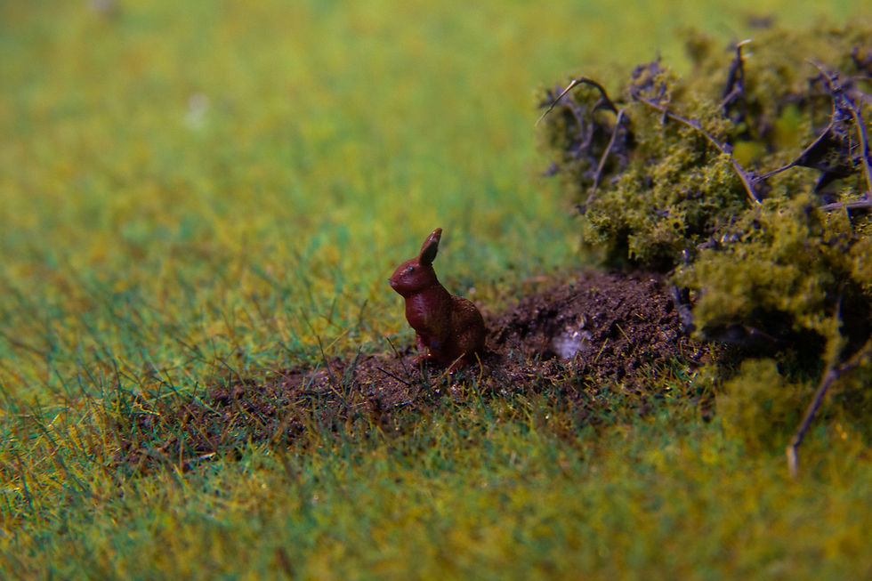 HO/OO Gauge | Railscale 33d