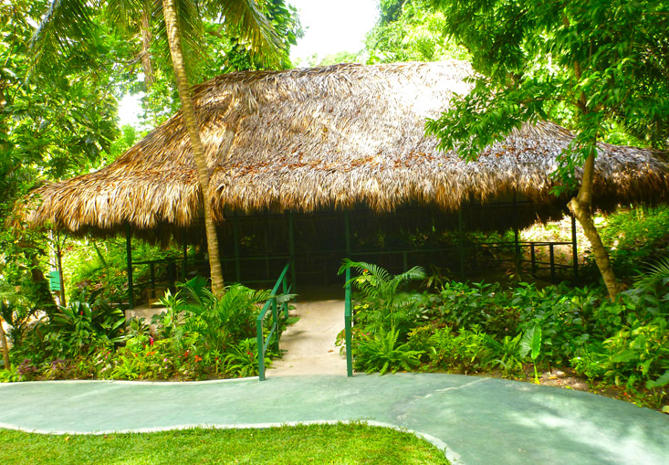 Konoko Falls and Park | Ocho Rios