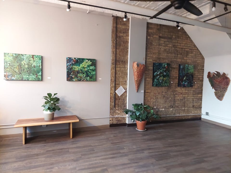 EVANSTON ARTIST SPOTLIGHT - BARBARA BLADES