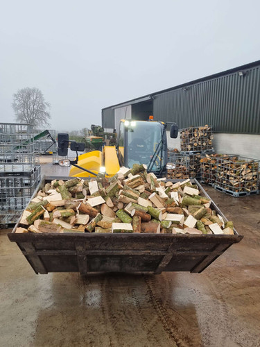 Loose trailer load of ash logs to season at home | goodechip