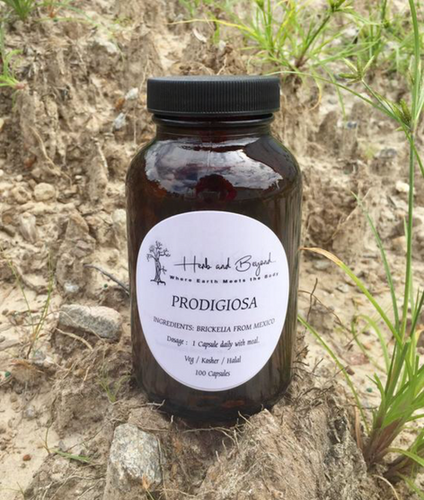 Prodigiosa/Prodijiosa | Mysite