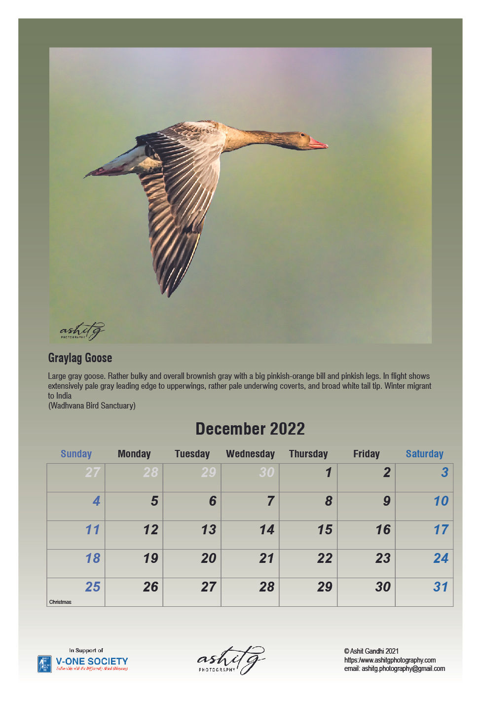 CALENDARS | Bird & Wildlife Photographer | Vadodara