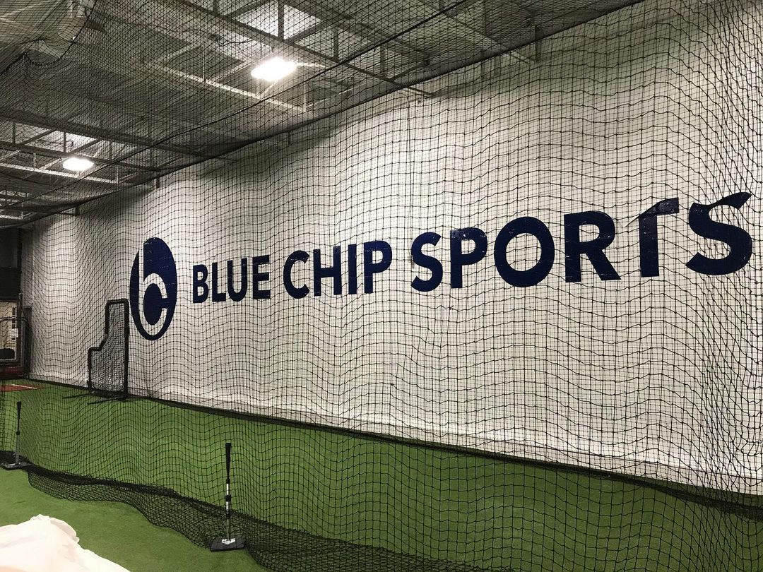 Blue Chip Sports Training Ltd. | baseball training | 69 Agnes Street ...