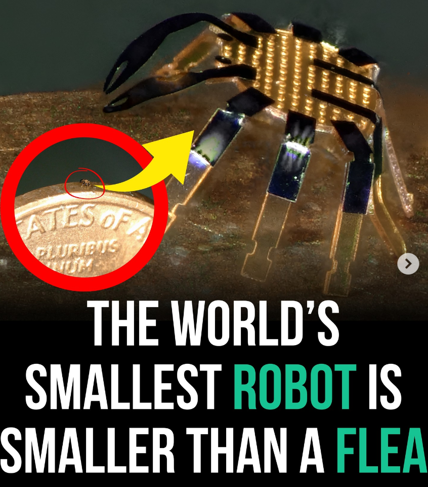 E-Crab? The smallest AI Robot !! from Northwestern University