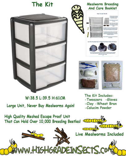 Large Mealworm Breeding Box Tower Kit ( Mealworm Farm ...