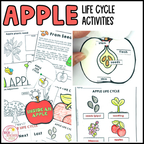 Apple Life Cycle Activities | Tech Teacher Pto3
