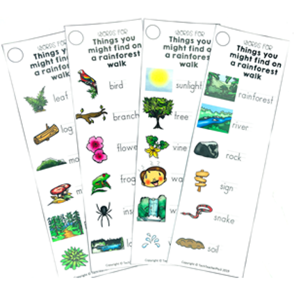 Rainforest Writing Activity | website