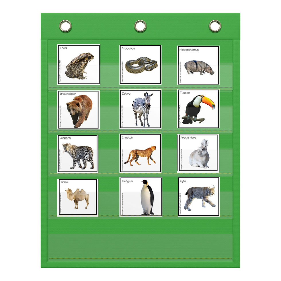 Foundation Year | Tech Teacher P to 3