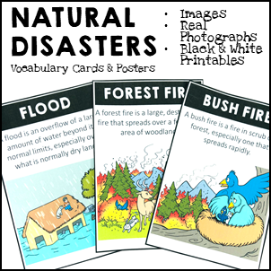 Natural Disasters Vocabulary Cards and Posters | Tech Teacher Pto3