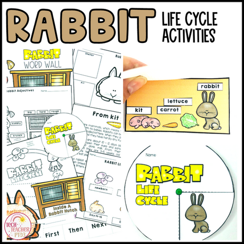 Rabbit Life Cycle Activities | Tech Teacher Pto3