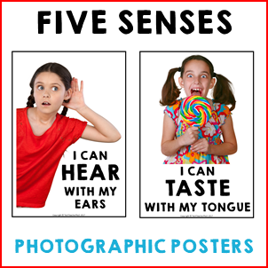 Five Senses Posters | Tech Teacher Pto3