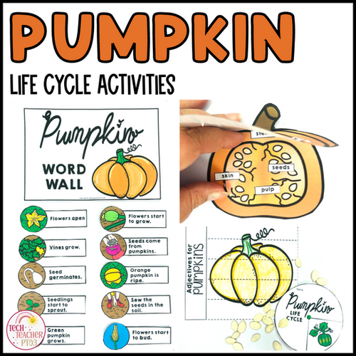 Pumpkin Life Cycle Activities | Tech Teacher Pto3