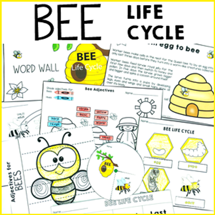 Bee Life Cycle Activities | Tech Teacher Pto3