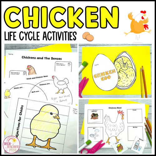 Chicken Life Cycle Activities | Tech Teacher Pto3