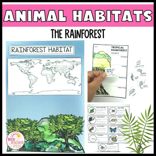 Animal Habitats The Rainforest Biome | Tech Teacher Pto3