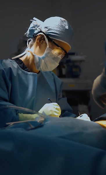 BBL | Miami, Florida | APS Institute of South Florida