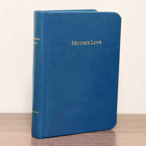 Mother Love | DaughtersofMaryPress