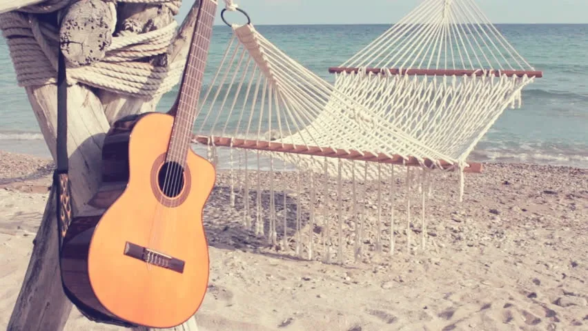 Merce Font | Classical Guitarist | Latest News